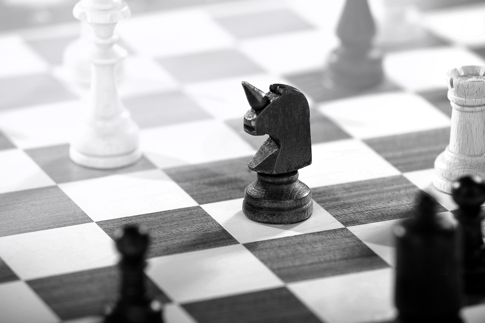 Stone Management Partners